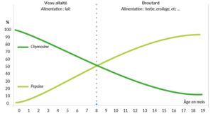 Présure et Caillette - Laboratoires Abia